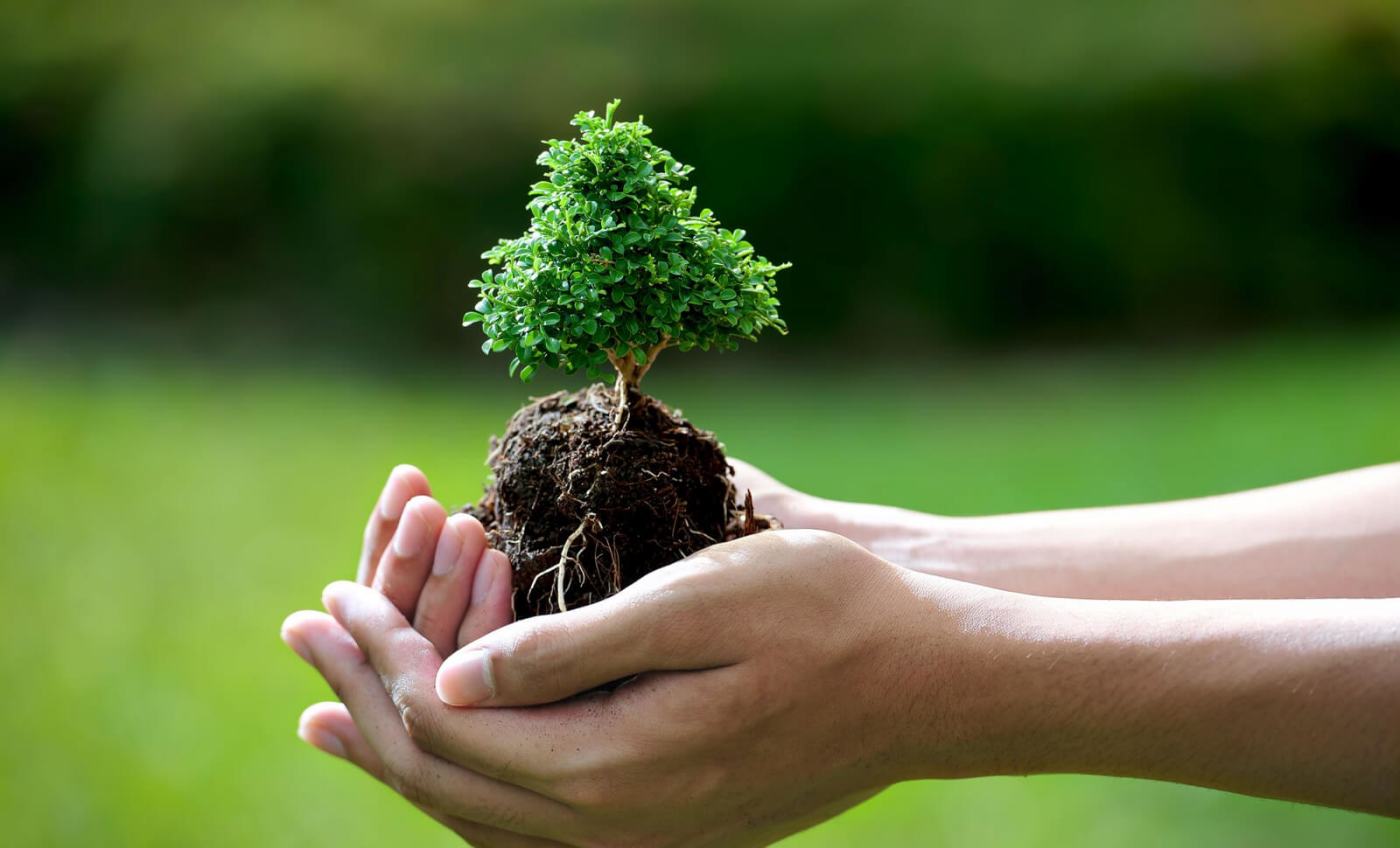 Sadaqah Jariyah Acts| IslamicFinder